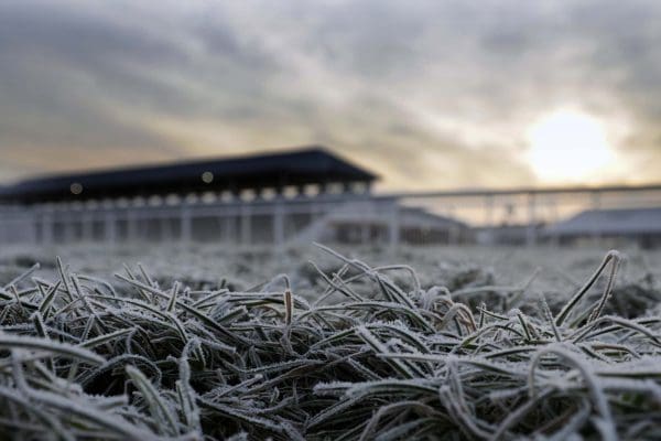 Welcome to Wetherby Racecourse | Wetherby Racecourse