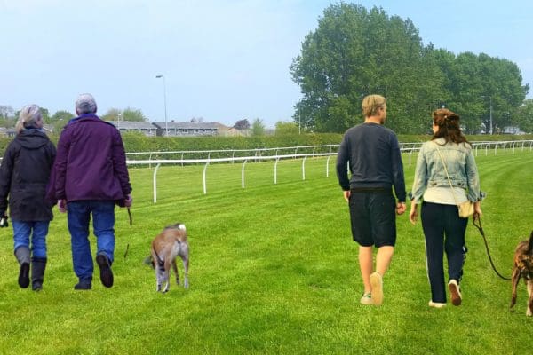 Welcome to Wetherby Racecourse | Wetherby Racecourse