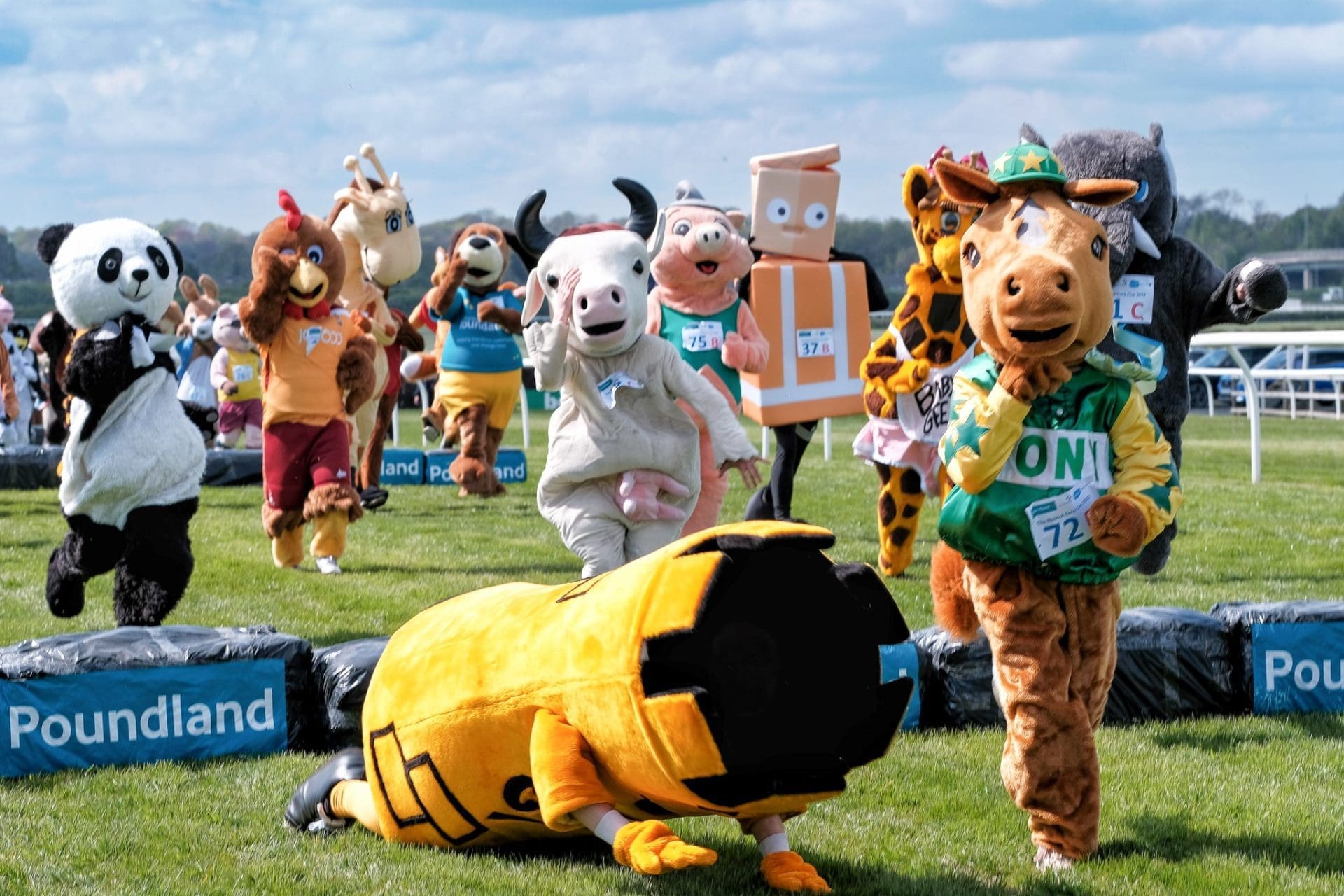 Mascot Gold Cup Raises Over £16,000! - Wetherby Racecourse