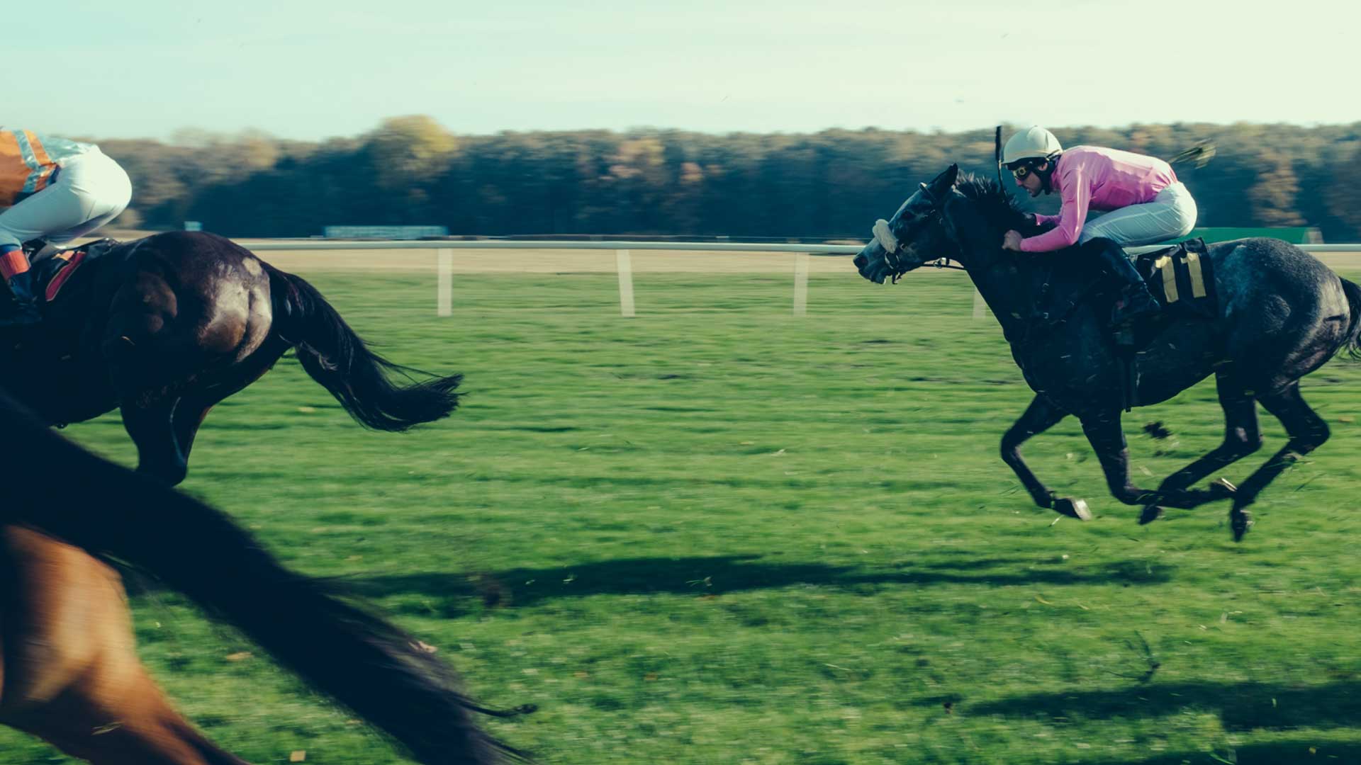 Wetherby Racecourse - West Yorkshire